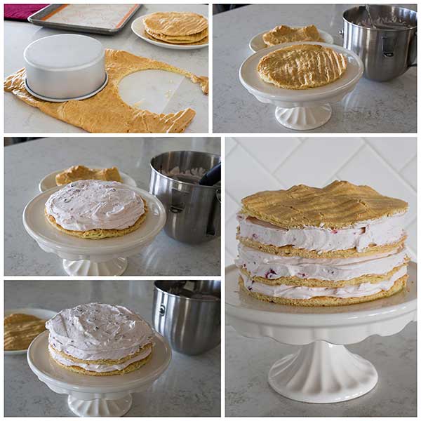 Triple Berry Choux Cake - Barbara Bakes™