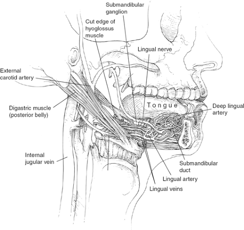 Anatomy of the Parotid Gland, Submandibular Triangle, and Floor of the ...