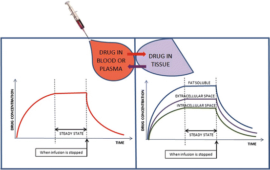 Steady-State Principles | Basicmedical Key