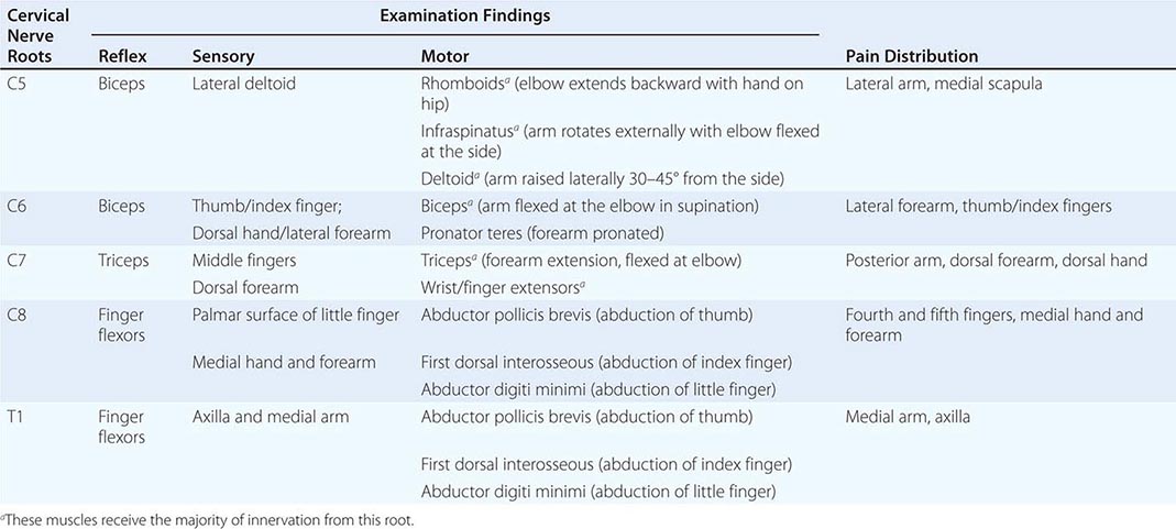 Back and Neck Pain | Basicmedical Key