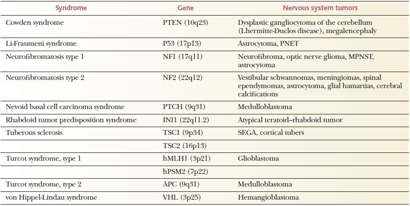 The Brain, Spinal Cord, and Meninges | Basicmedical Key
