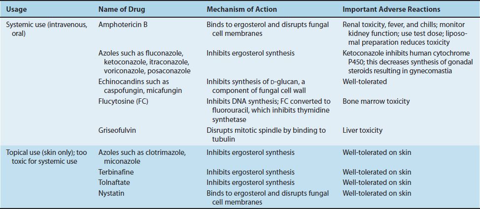 Classification of Medically Important Bacteria | Basicmedical Key
