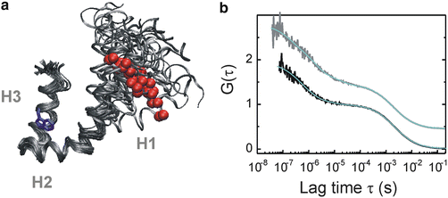 PET-FCS: Probing Rapid Structural Fluctuations of Proteins and Nucleic ...