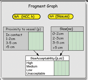 The Digital Patient Model and Model Guided Therapy | Basicmedical Key
