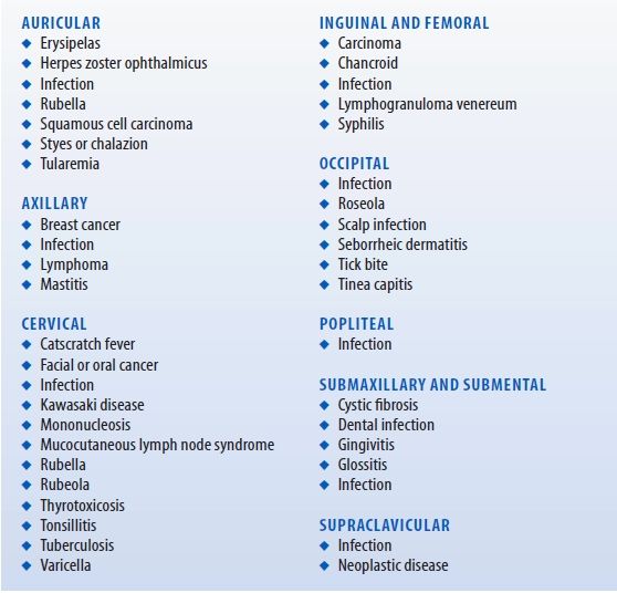 L | Basicmedical Key