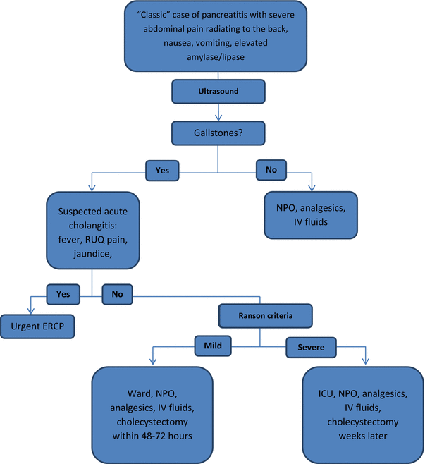 Newborn with Bilious Emesis | Basicmedical Key