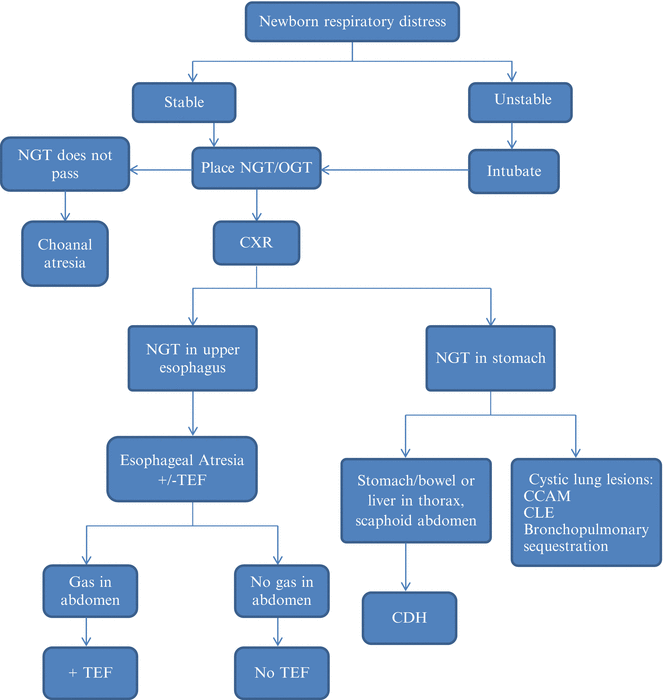 Full-Term Male Infant with Respiratory Distress | Basicmedical Key