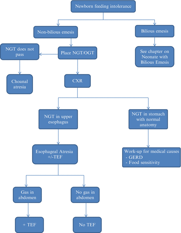Newborn with Bilious Emesis | Basicmedical Key