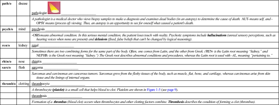1. Basic Word Structure | Basicmedical Key