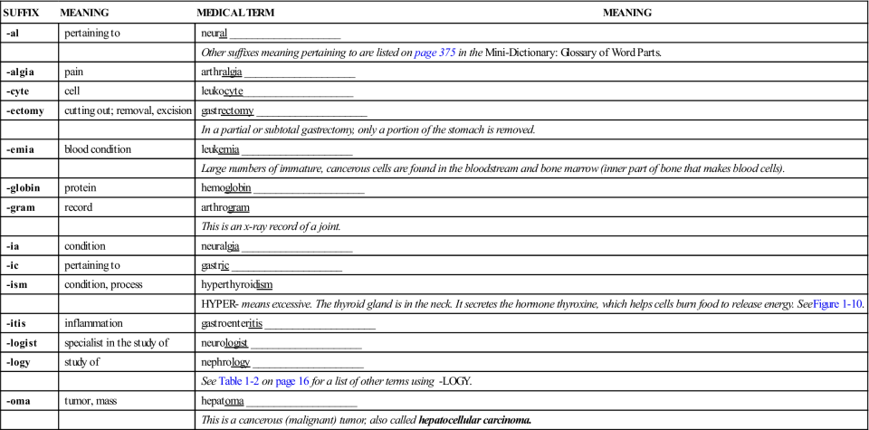 1. Basic Word Structure | Basicmedical Key