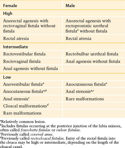 Pediatric Abdomen | Basicmedical Key