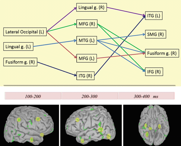 of Regional Activation Maps and Interdependencies from Minimum Norm ...