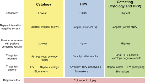 Risk Assessment Approach to Management | Basicmedical Key
