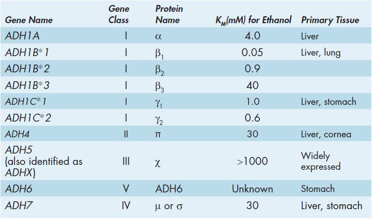 18 Ethanol Metabolism | Basicmedical Key