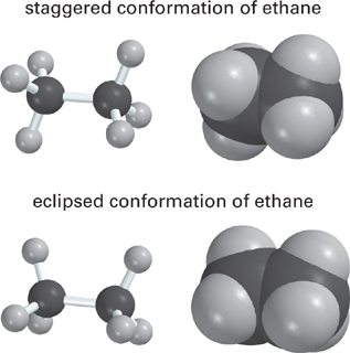 Conformations of Organic Molecules | Basicmedical Key