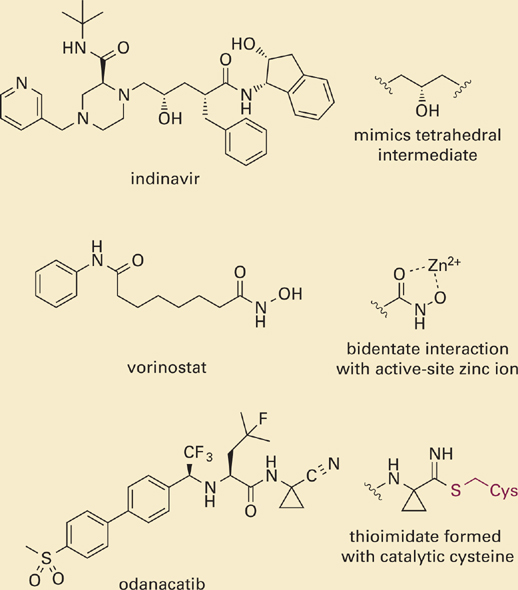 Reactions of Carbonyl Species | Basicmedical Key