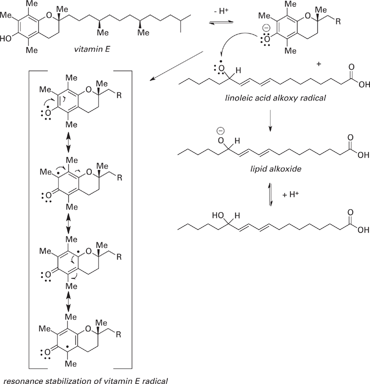 Radical Chemistry | Basicmedical Key