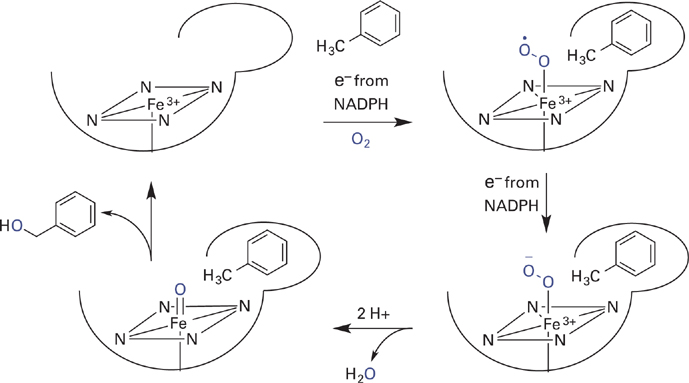 Radical Chemistry | Basicmedical Key