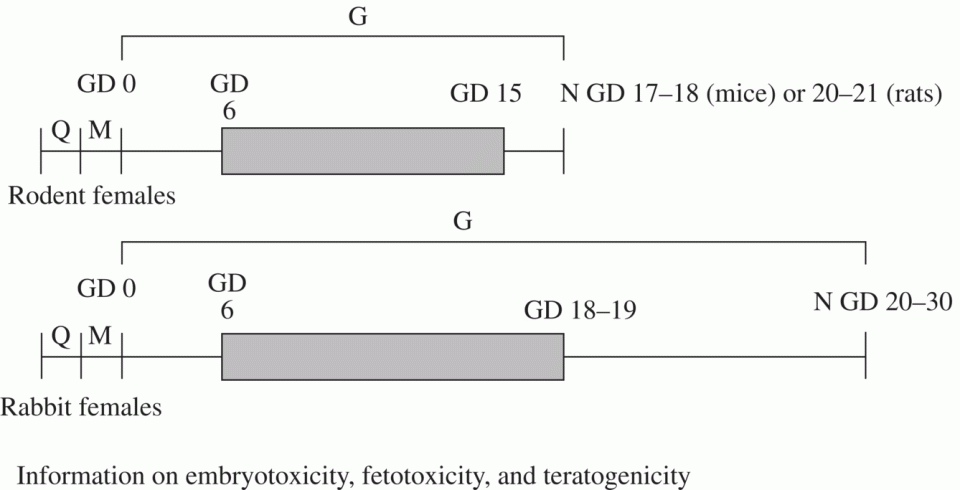 DEVELOPMENTAL TOXICOLOGY | Basicmedical Key