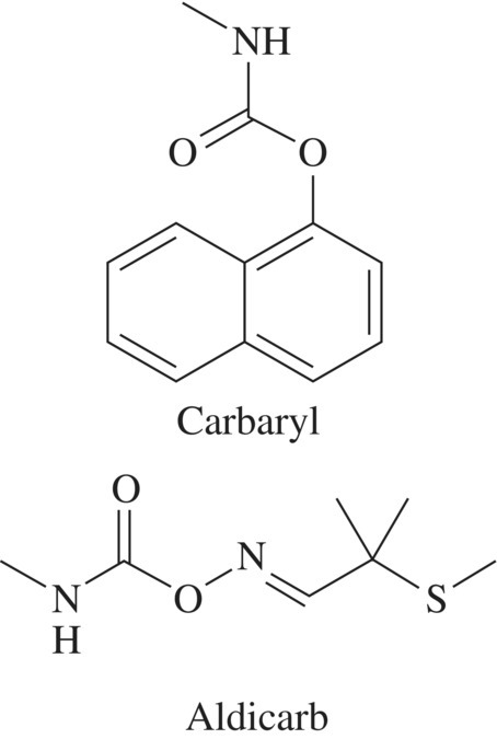 PROPERTIES AND EFFECTS OF PESTICIDES | Basicmedical Key