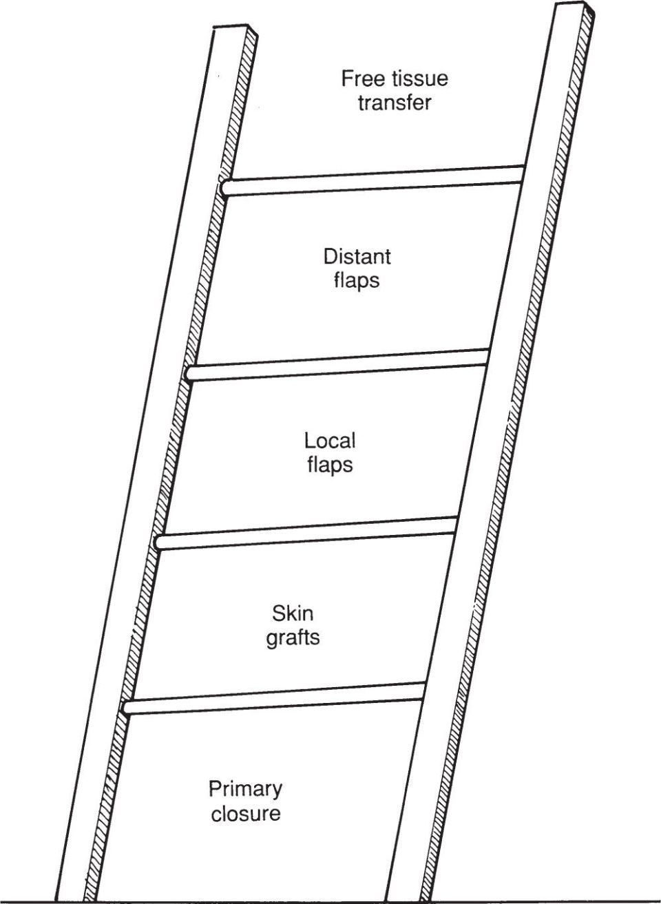 Plastic Surgery: Diseases Of The Skin And Soft Tissue, Face, And Hand ...