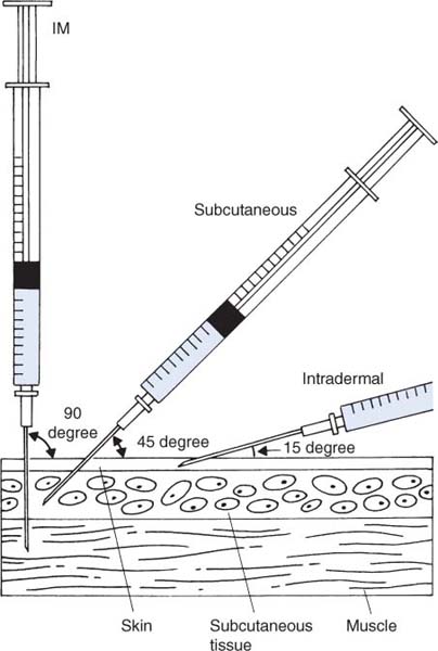 Procedures | Basicmedical Key