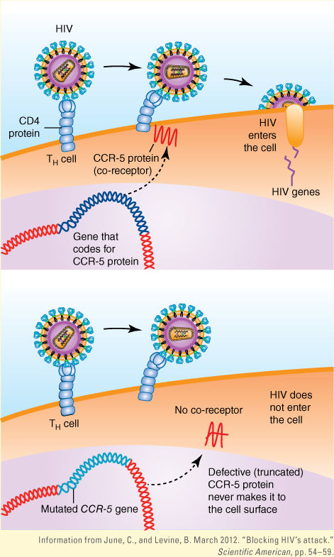 Host Resistance to Viral Infections | Basicmedical Key