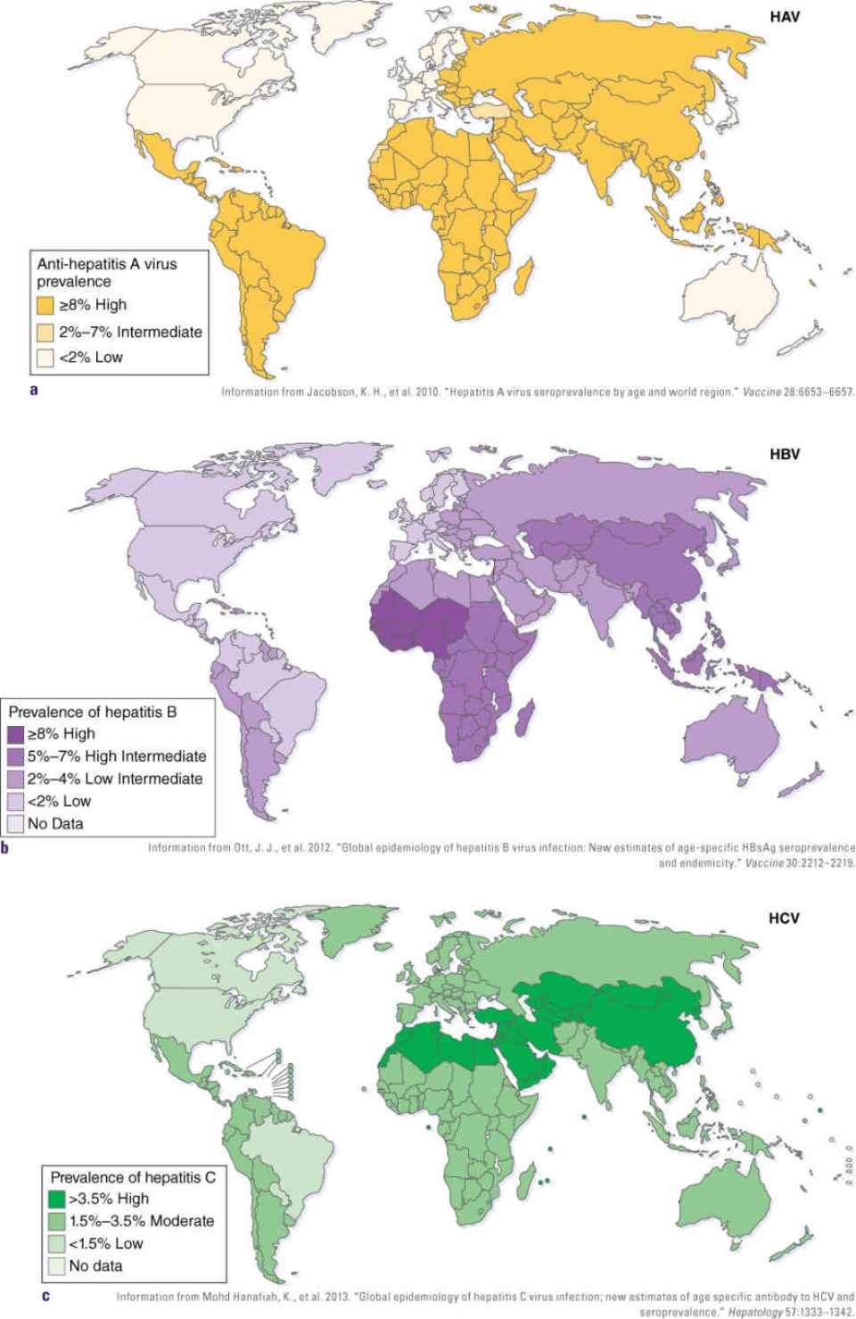 Hepatitis Viruses | Basicmedical Key