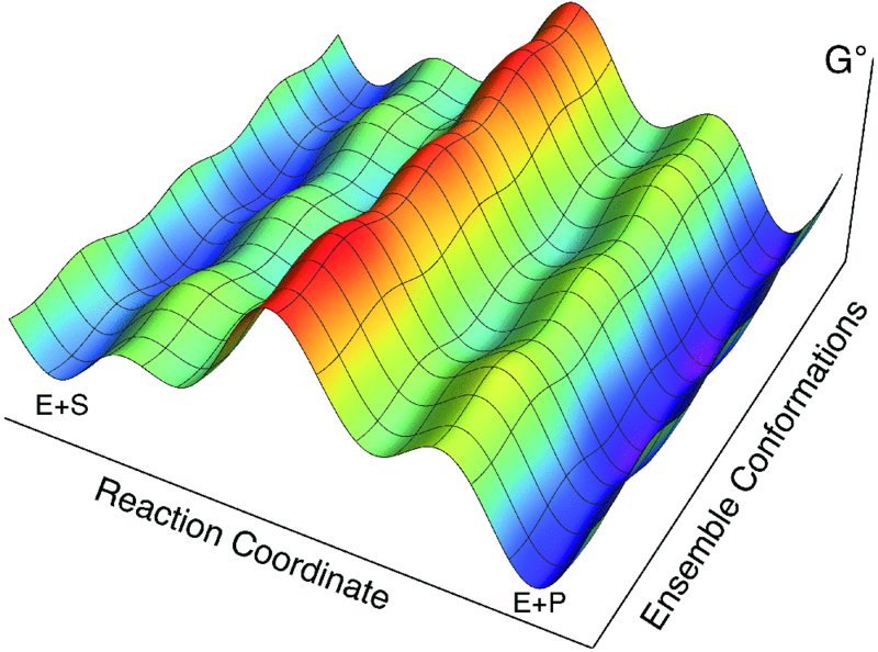 Reaction dynamics II: Catalysis, photochemistry and charge transfer ...