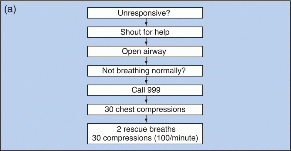 CARDIAC ARRESTS AND CRASH CALLS | Basicmedical Key