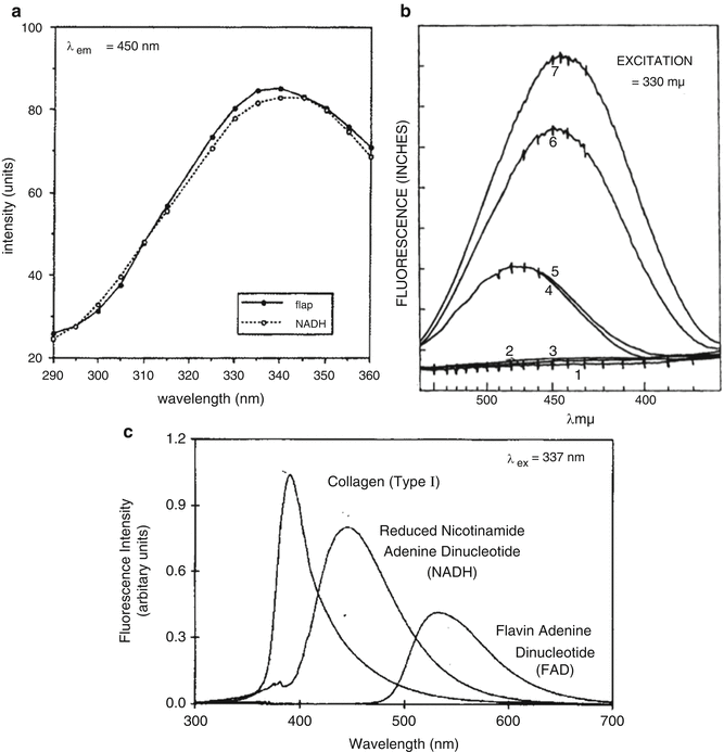 Spectroscopic Monitoring of NADH: Historical Overview | Basicmedical Key