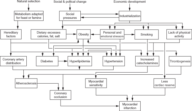 Causal Concepts | Basicmedical Key