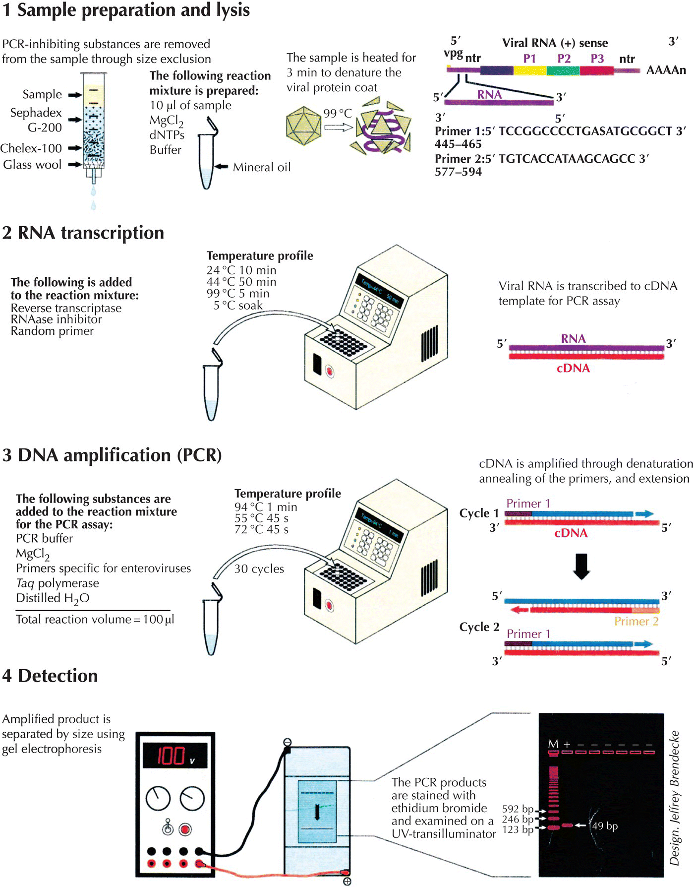 Analytical Methods and the Qmra Framework | Basicmedical Key
