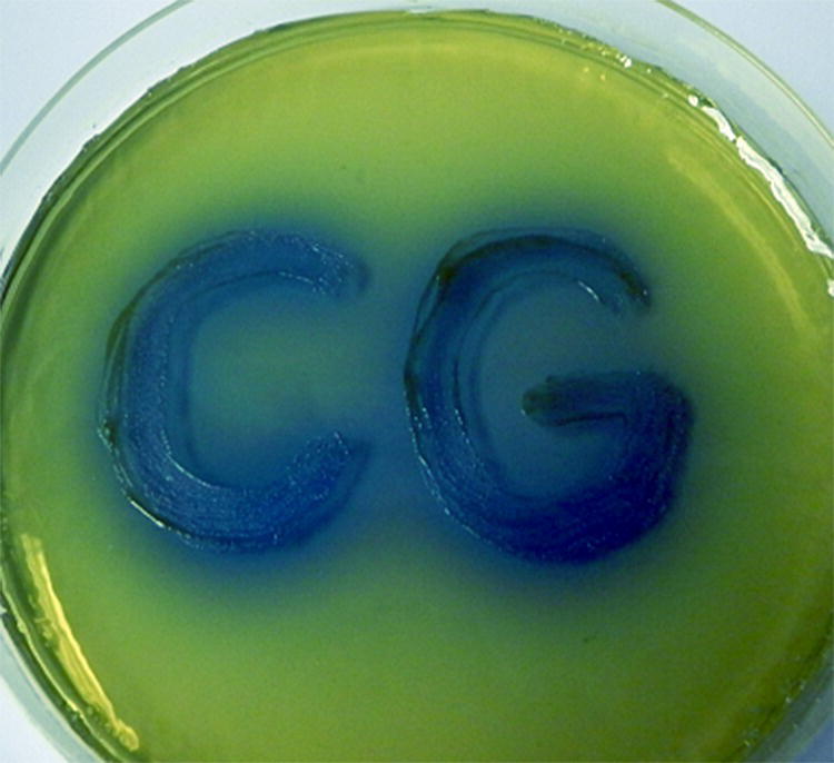 13: Commercial Methods for Identification and Susceptibility Testing of ...