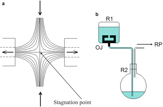 Elongational Flow Birefringence Investigation of Dynamics of DNA ...