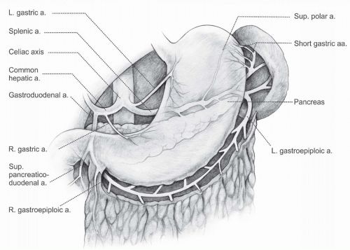 Small and Large Intestine | Basicmedical Key