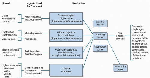 Nausea and Vomiting | Basicmedical Key