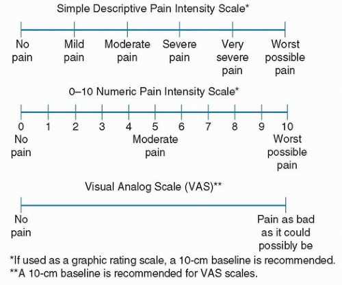 Principles of Pharmacology in Pain Management | Basicmedical Key