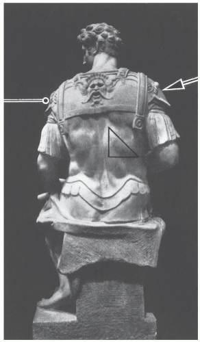 The Chest | Basicmedical Key