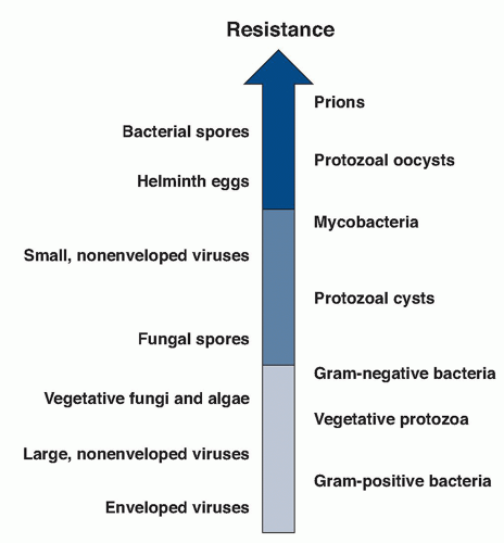 Definition of Terms | Basicmedical Key