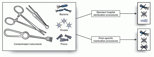 Prions | Basicmedical Key