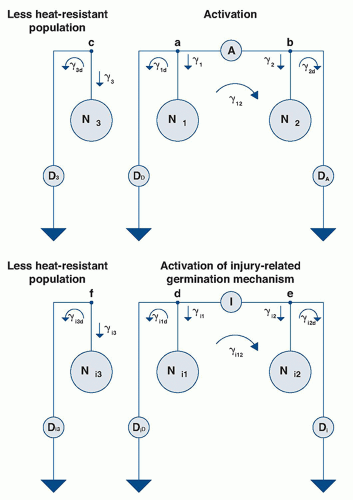 Kinetics of the Inactivation of Microorganisms | Basicmedical Key
