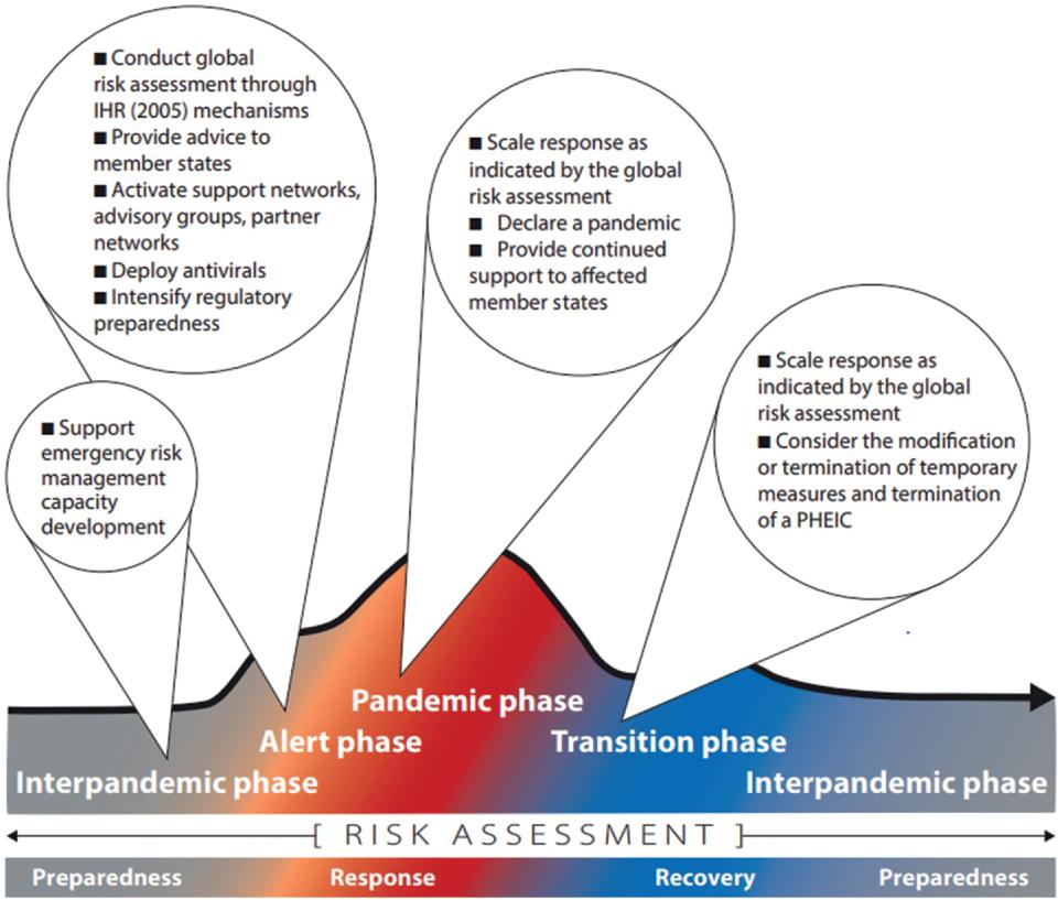 Considerations for Pandemic Preparedness and Response | Basicmedical Key