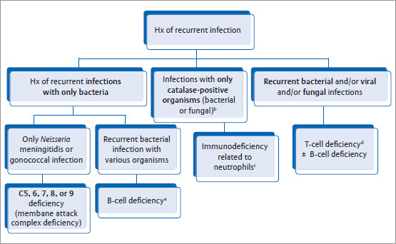 12. Allergy and Clinical Immunology | Basicmedical Key