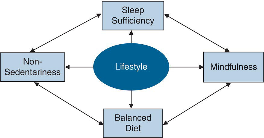 Non‐Surgical Management of Obesity | Basicmedical Key