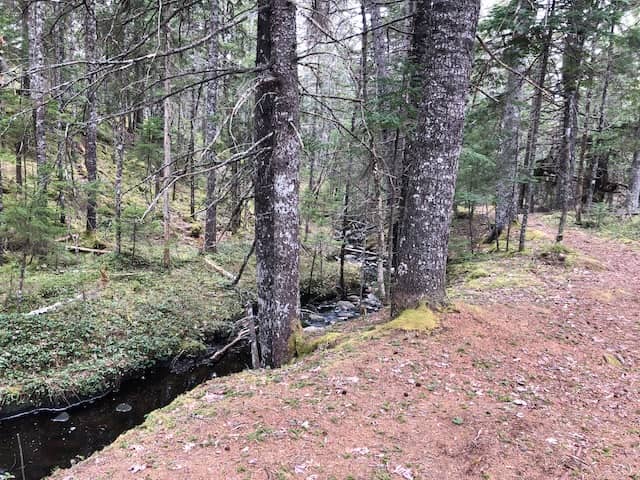 7 of 75 – Indian Path Common – BC Becky