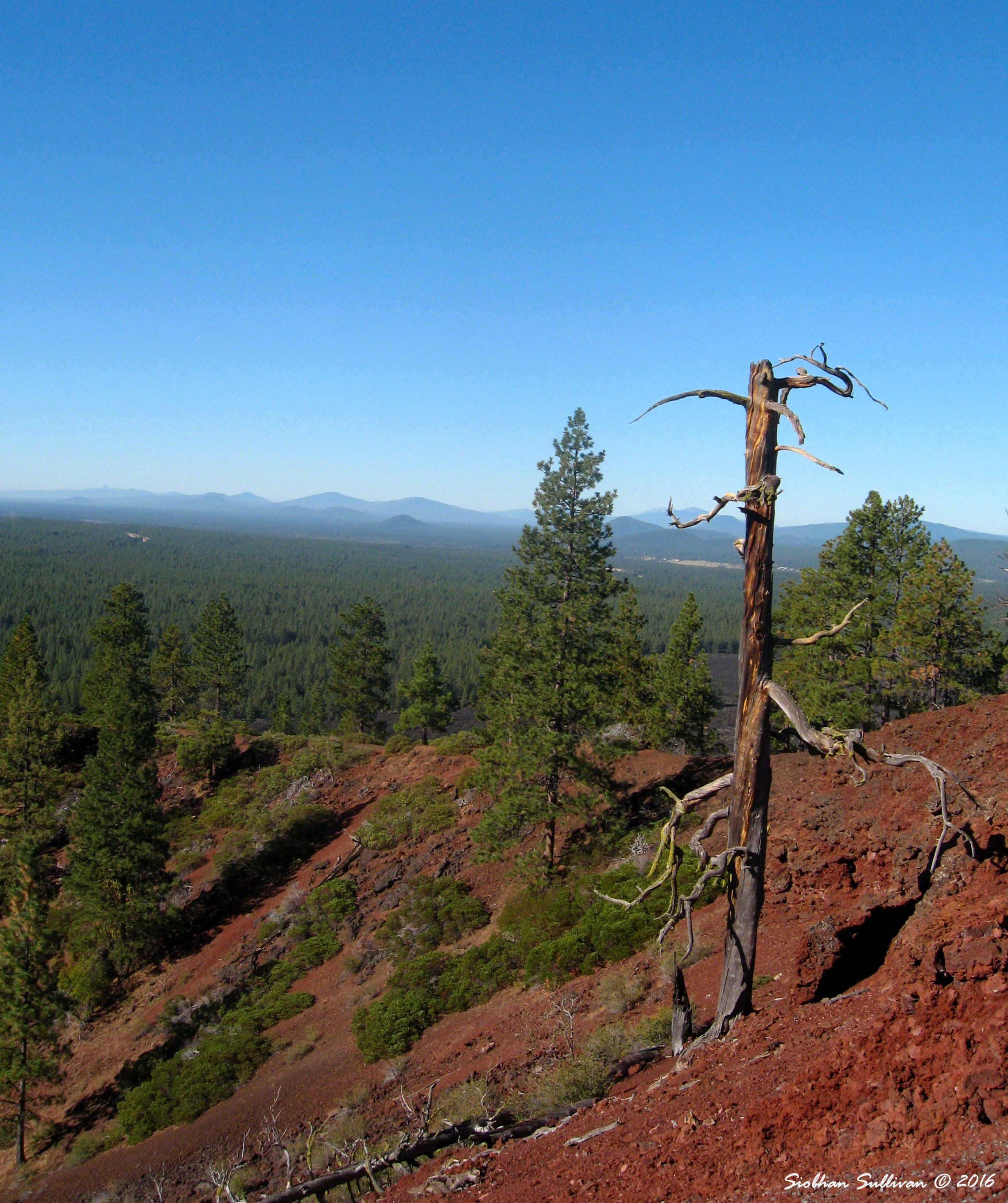 Lava Butte - Central Oregon Attractions - bend branches