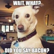 37 Funny Bacon Memes for 2025 - BENSA Bacon Lovers Society