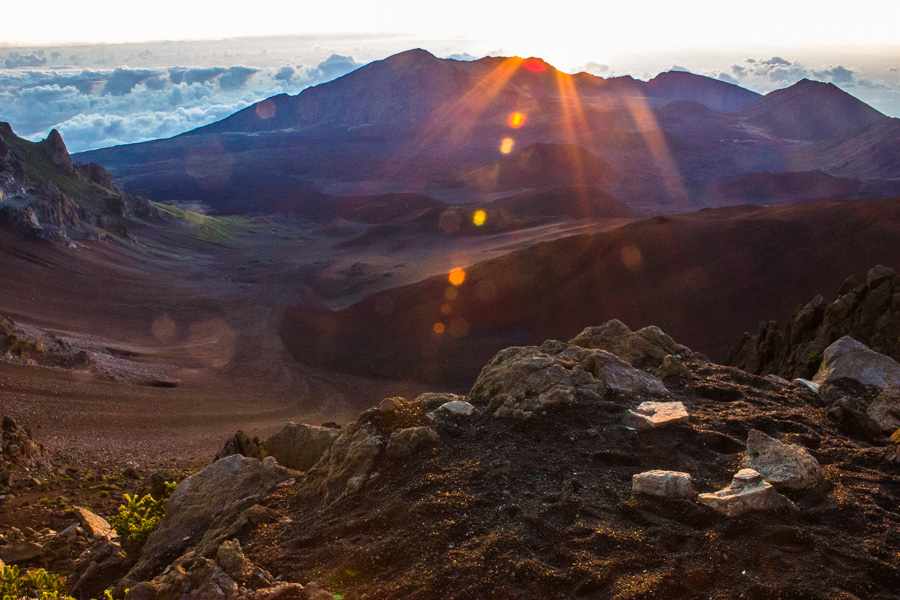 Images – Bill Hamilton