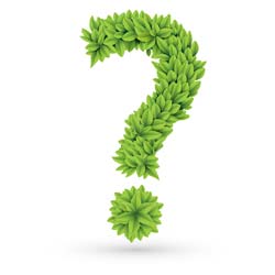 leaf-question-mark - Biodiversity Professionals